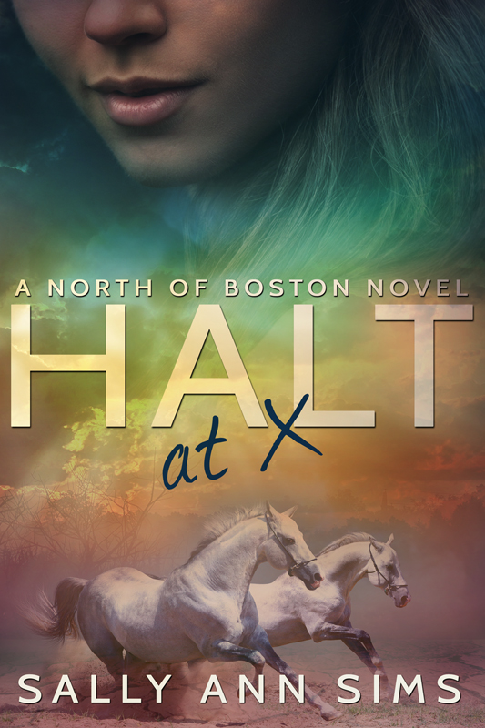 HALT AT X | Sally Ann Sims